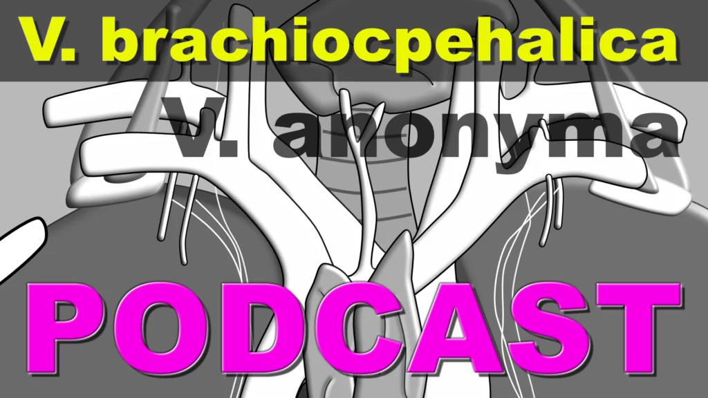 Blog | Radiomegahertz